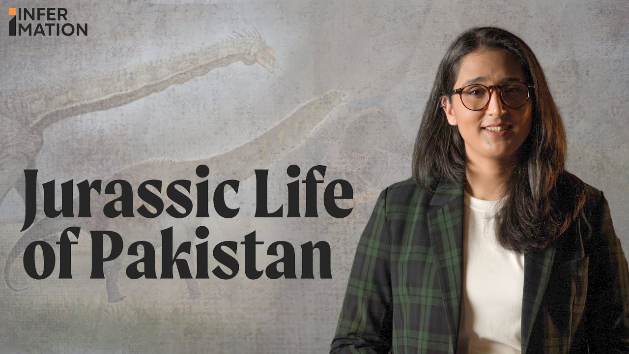 Are Pakistani Dinosaurs Real? | Infermation - YouTube