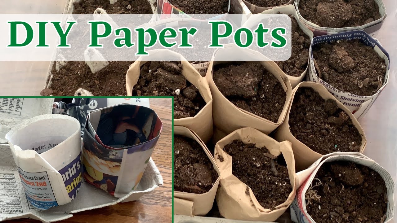 DIY Decomposing Paper Pots | For Starting Seeds & Easy Transplanting ...