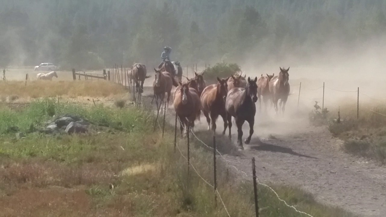 Running of the Horses - Sunriver Tables - YouTube