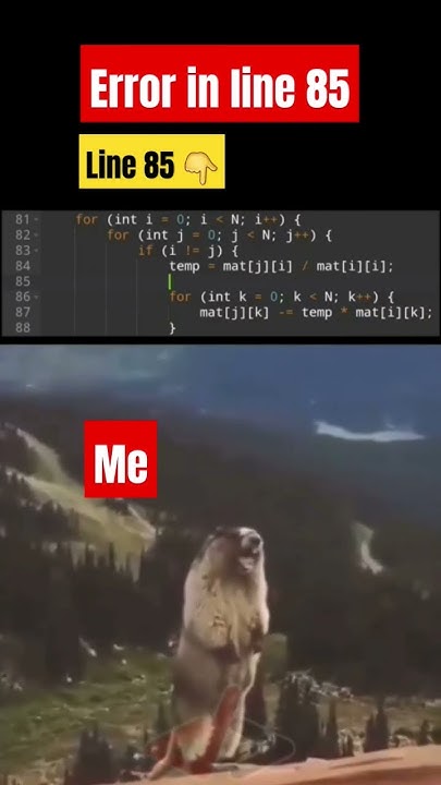 Why Really 😂🤯 Programming Programmer Coding Computerscience Computer Code Developer Youtube 