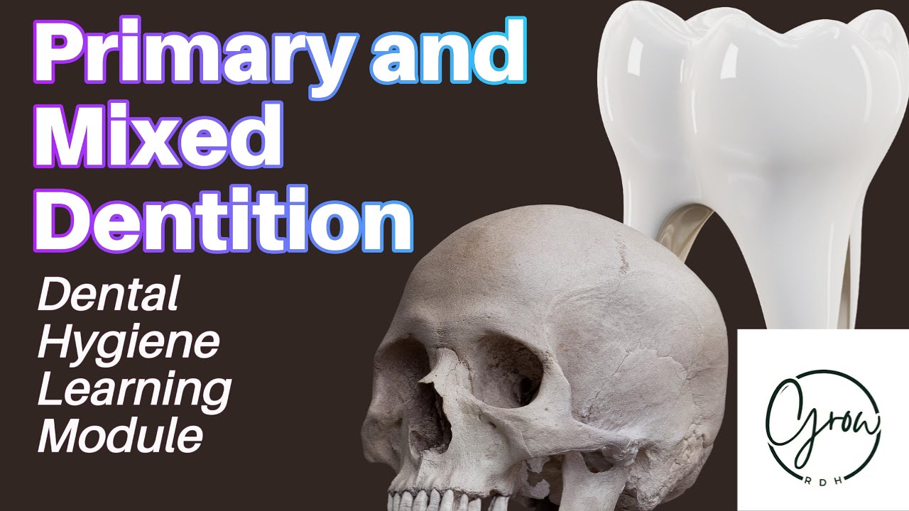 The "PRIMARY" Guide to Mastering Mixed Dentition - YouTube