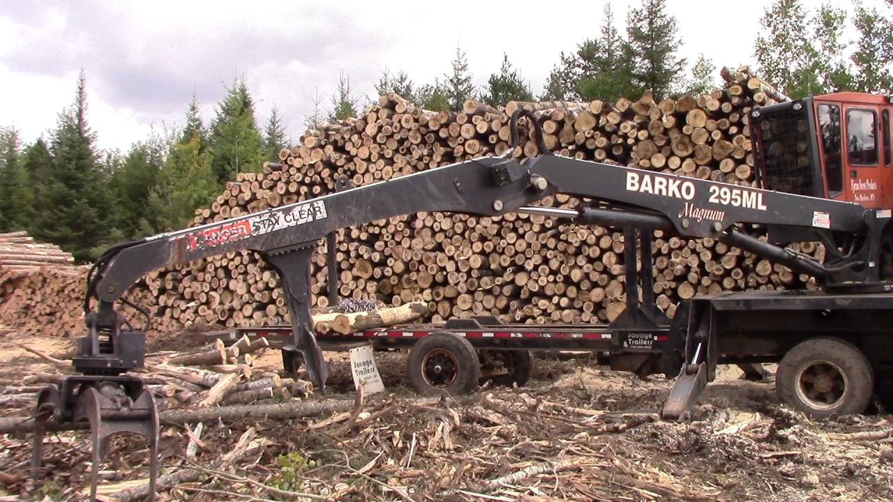 2008 Barko 295ML Slasher Loader on a self propelled 6x6 Savage carrier ...