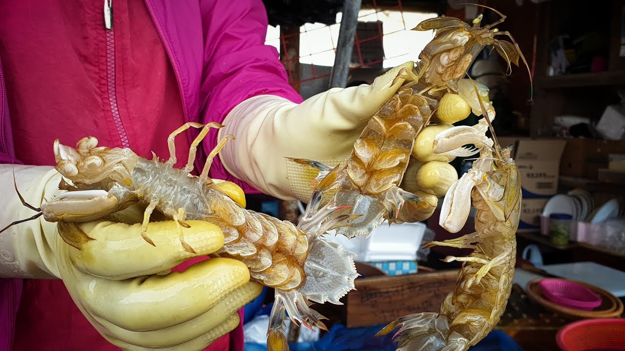 Korea Fisheries Market / Seafood, crayfish, squilla, mantis crab ...
