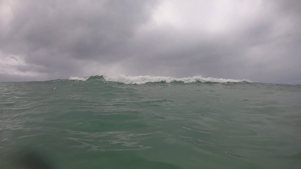 Swimming in Hawaii - YouTube