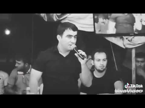 Firdovsi