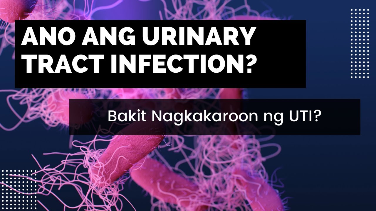 UTI: Ano Ang Urinary Tract Infection? - YouTube