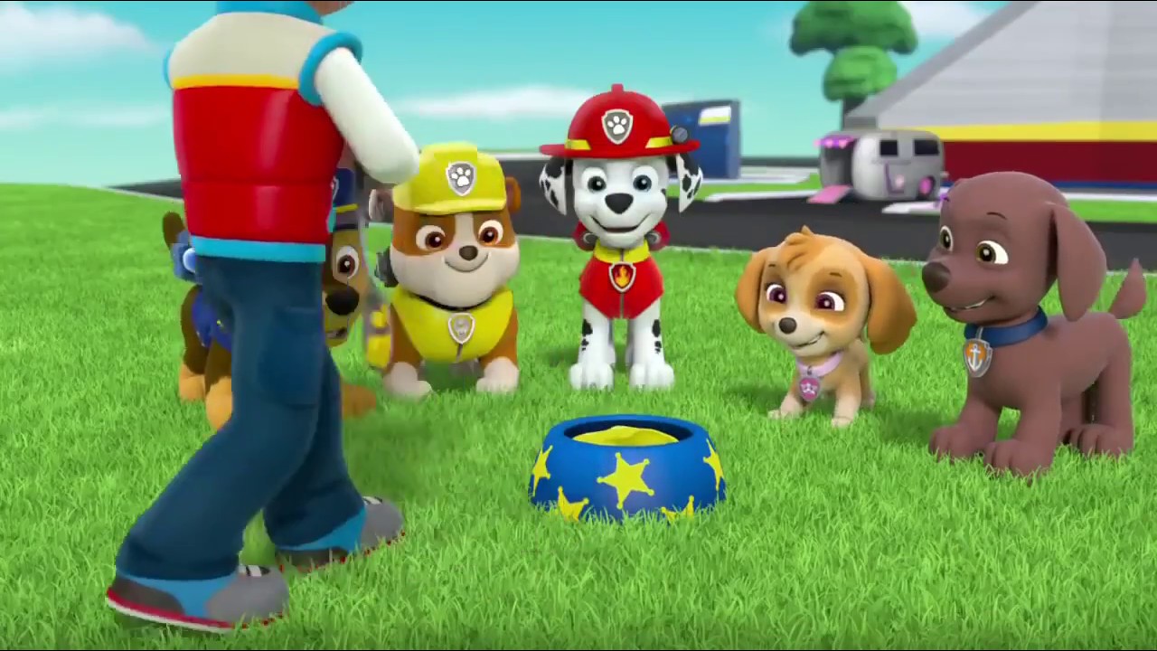 PAW Patrol Season 3 Episode 18 PUPS SAVE A WINDSURFING PIG 10 - YouTube