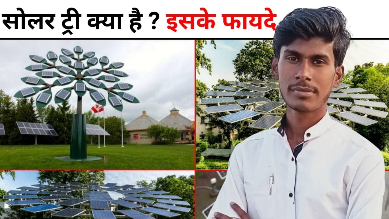What is solar tree || सोलर ट्री क्या है || solar tree || solar tree in ...