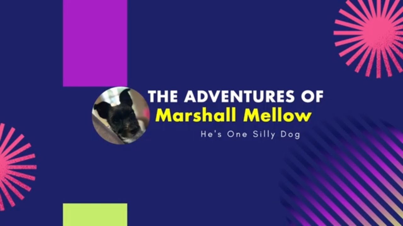 Introducing Marshall Mellow - YouTube