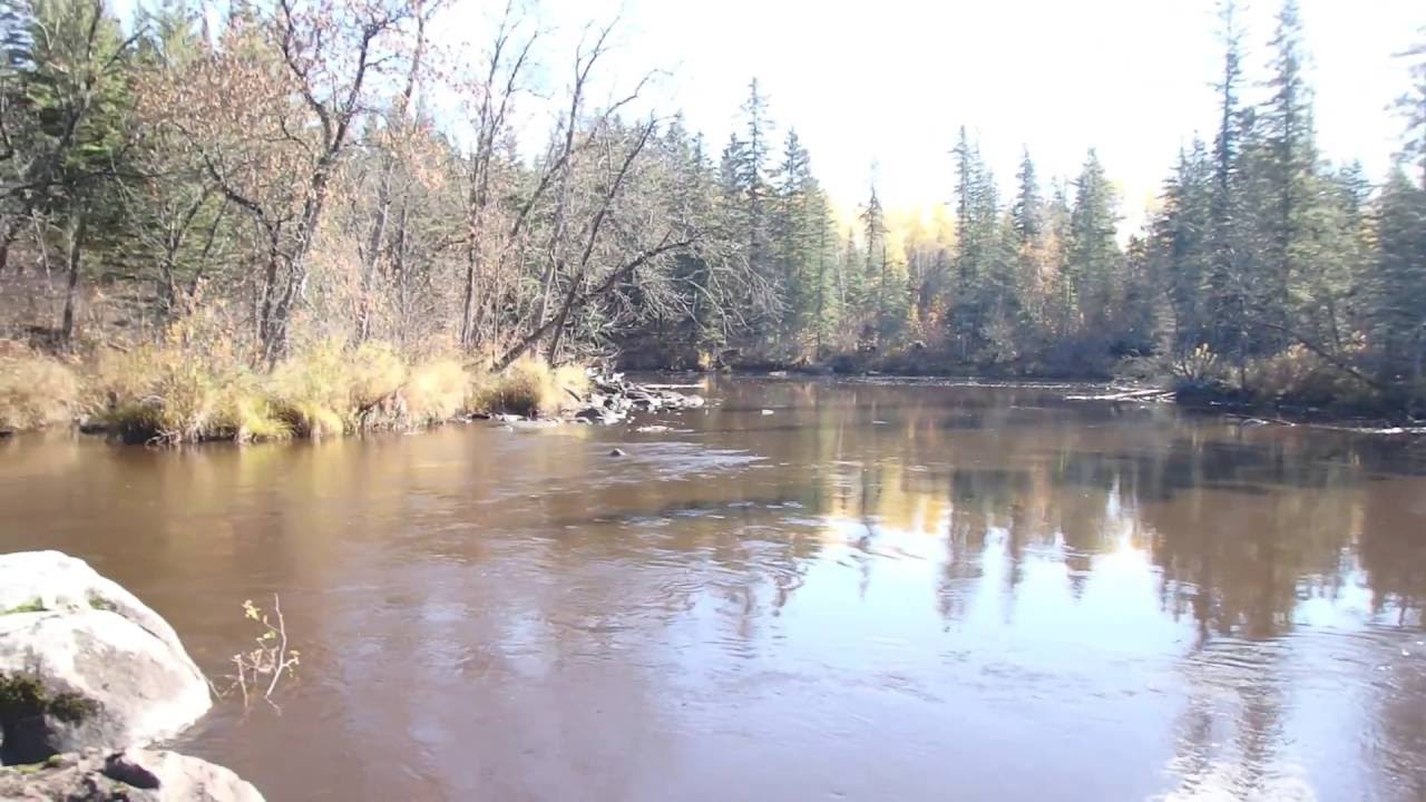Maskwa River - Oct 5, 2016. - YouTube