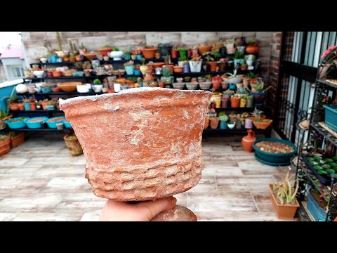 Yağmurda Mini Teras Turu, Bulduğum Saksı, Beton Efekti Saksılarım