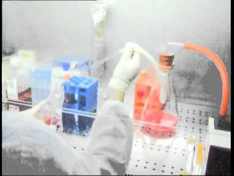 Metodo delle colture cellulari - YouTube