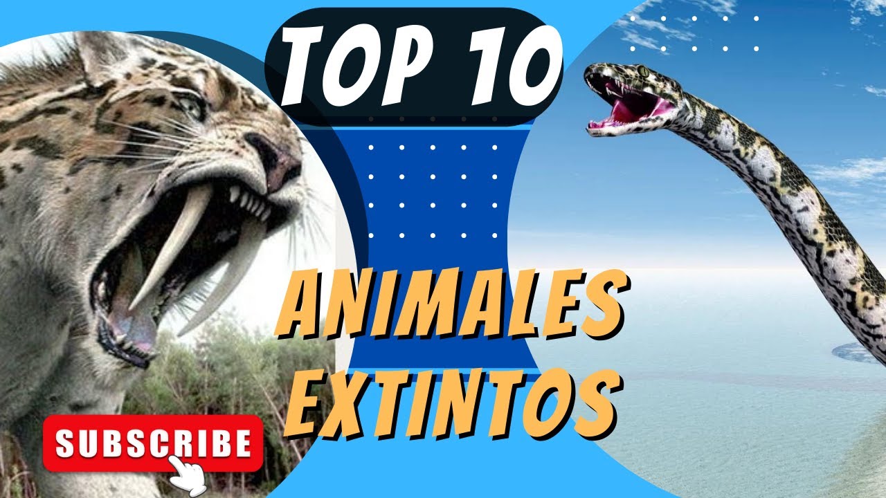 ¡Los 10 Increíbles animales EXTINTOS, de los que probablemente nunca ...