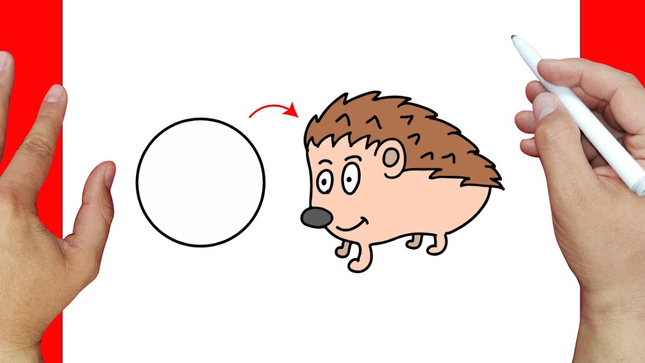 HOW TO DRAW A HEDGEHOGS - YouTube