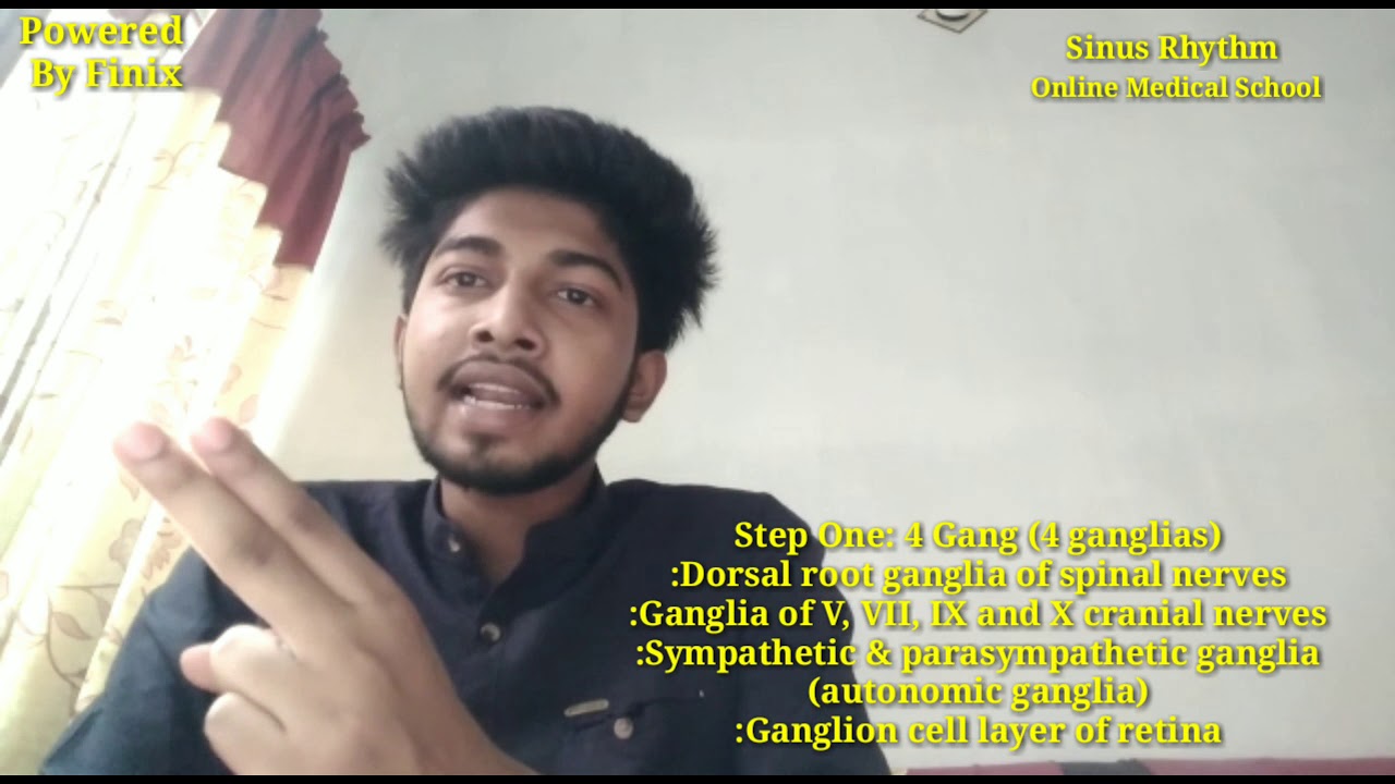 ||Neural Crest Derivatives || Mnemonics || Mohshiue Alif|| - YouTube