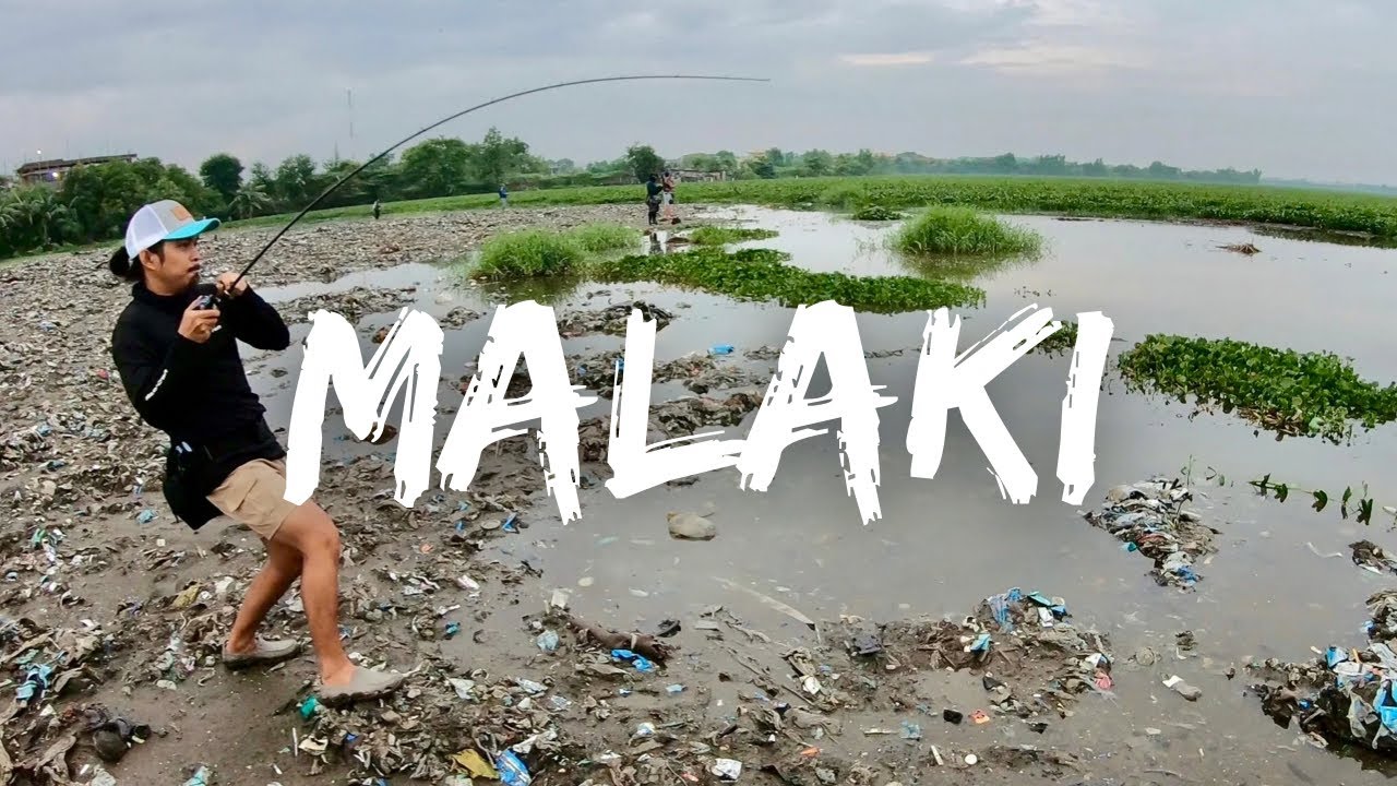 This TAMBAKAN NG BASURA is LOADED with MASSIVE SNAKEHEAD | URBAN ...