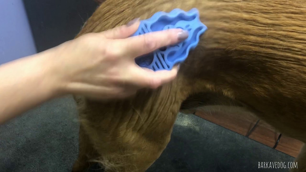 Brush Out With A Zoom Groom - YouTube