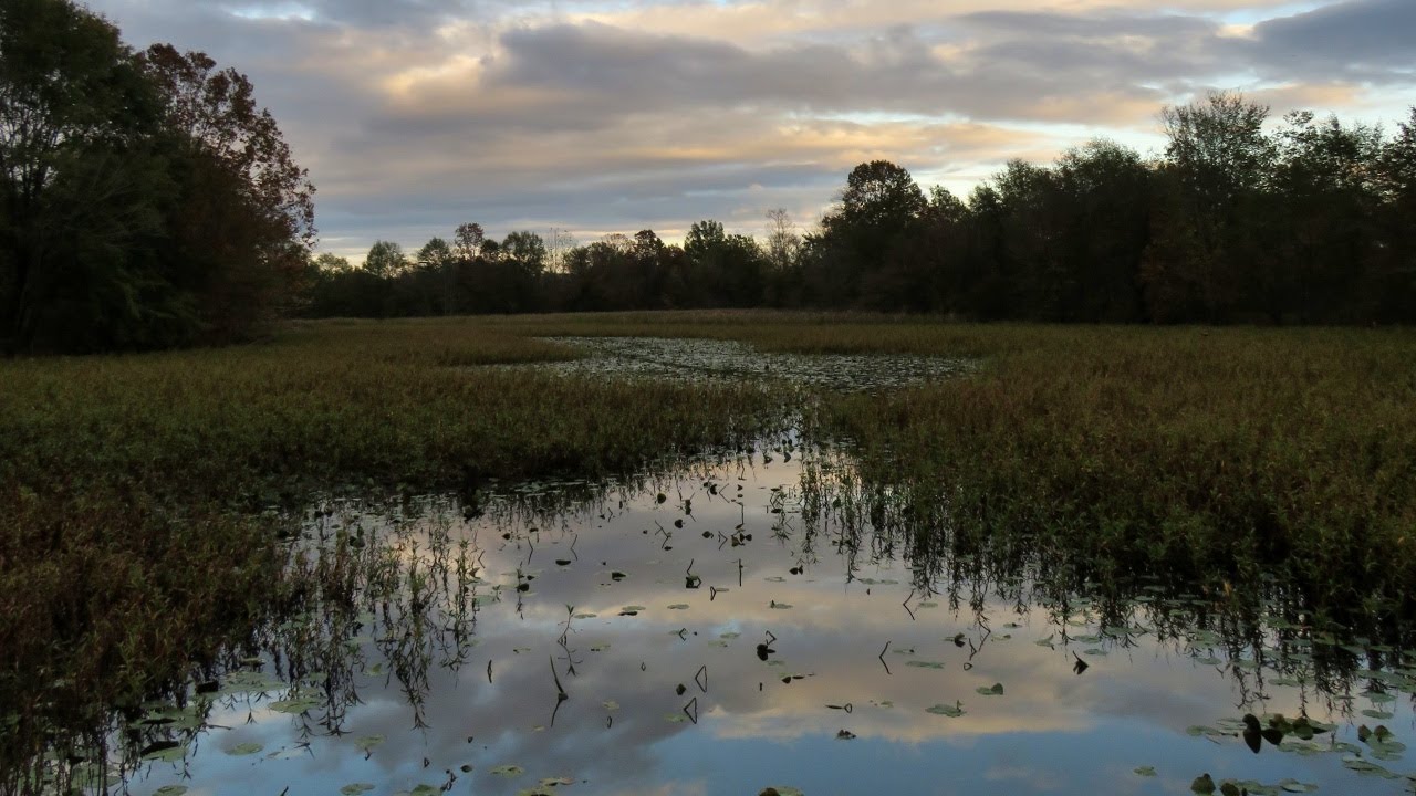 Wheeler National Wildlife Refuge: Hiking and Bicycling Trail - YouTube