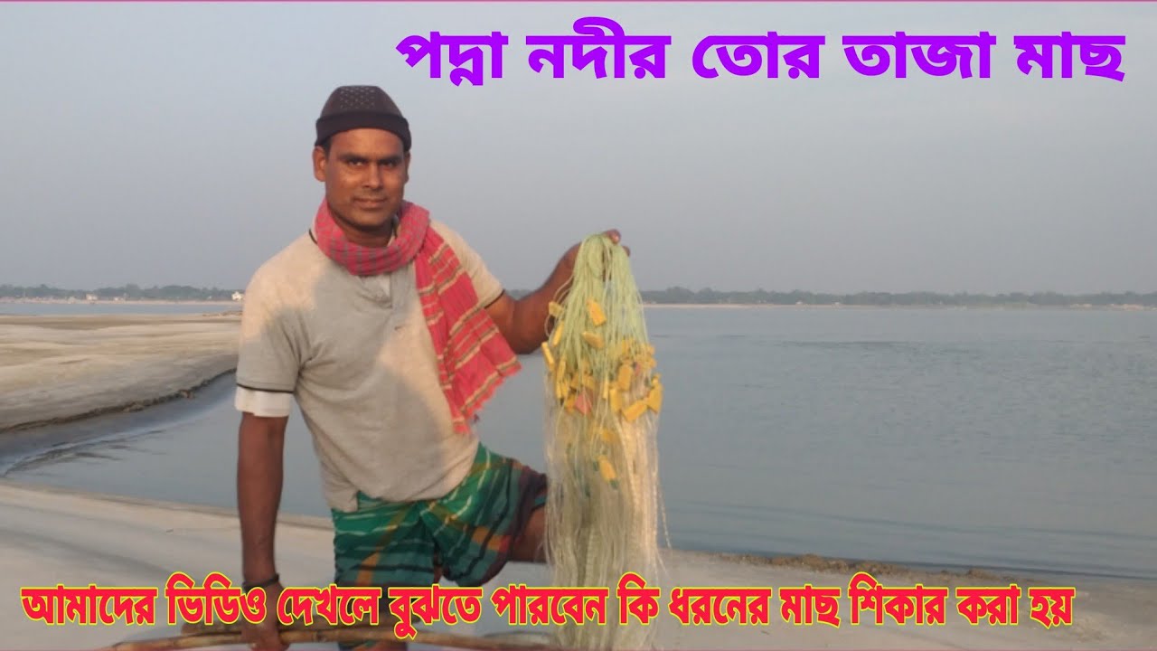কারেন্ট জাল দিয়ে খল্লা মাছ শিকার || karent jal diye kholla fishing ...