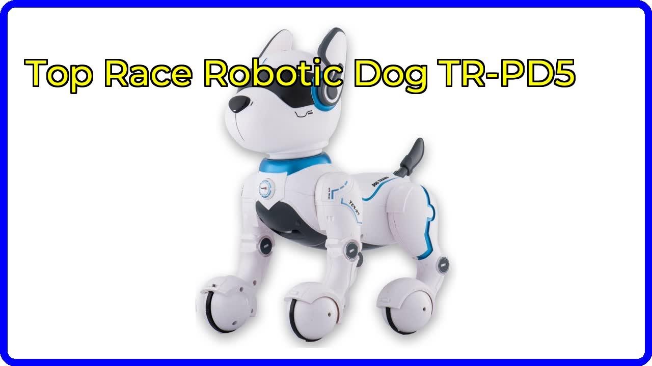 Review: Top Race Robotic Dog TR-PD5. First Look. - YouTube