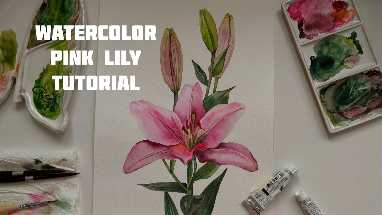 Pink lily watercolor tutorial - YouTube