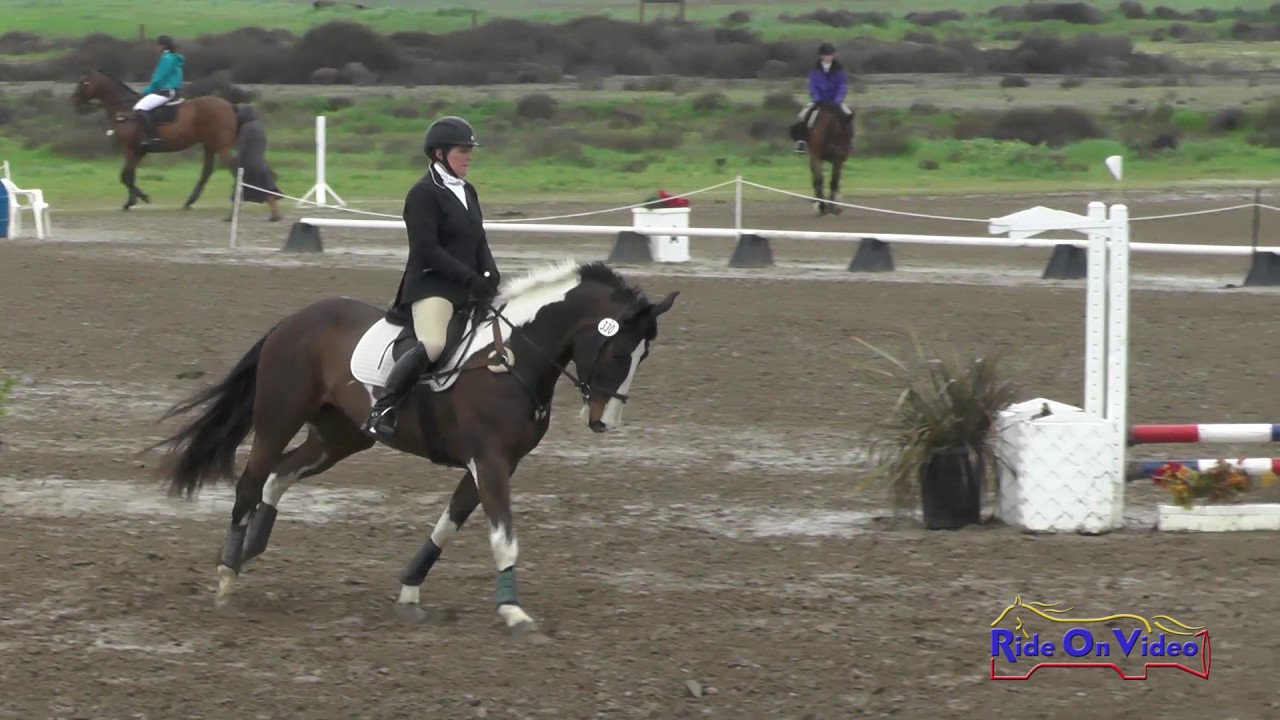 330S Jill Jamison on Cabela Intro Show Jumping FCHP February 2017 - YouTube