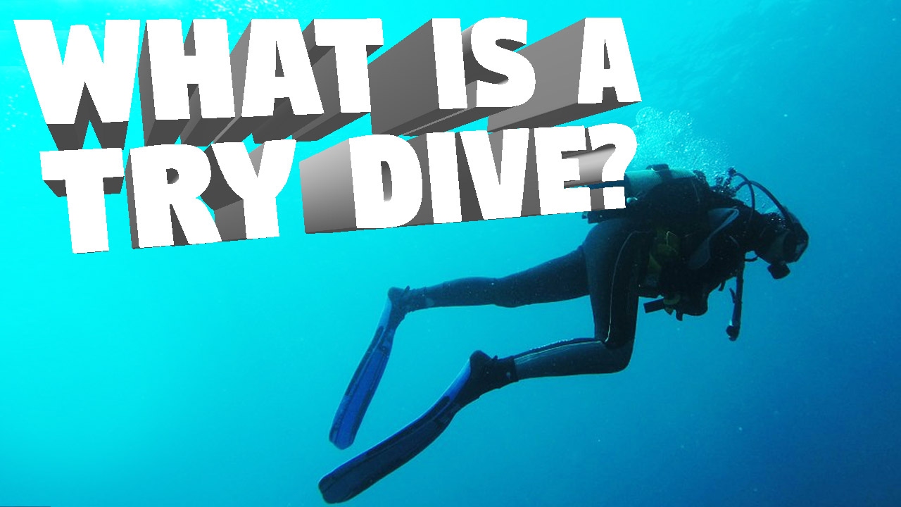 What Is A Try Dive? - YouTube