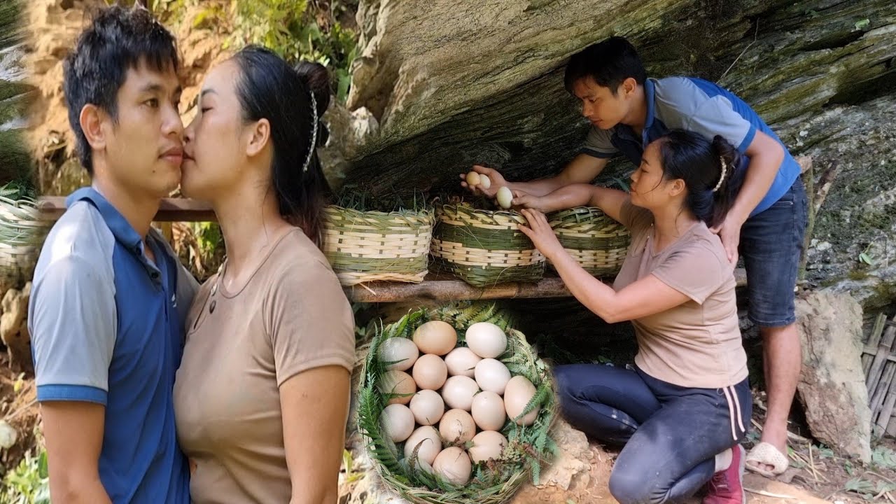 Weaving many baskets to make nests for hens to lay eggs - Harvesting ...