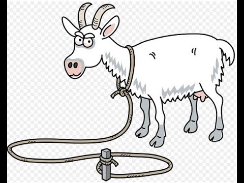Goat on a rope - YouTube