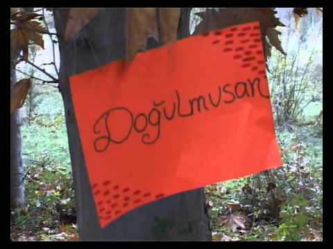 Ad gunun mubarek Ayshen, canim nishanlima surpriz