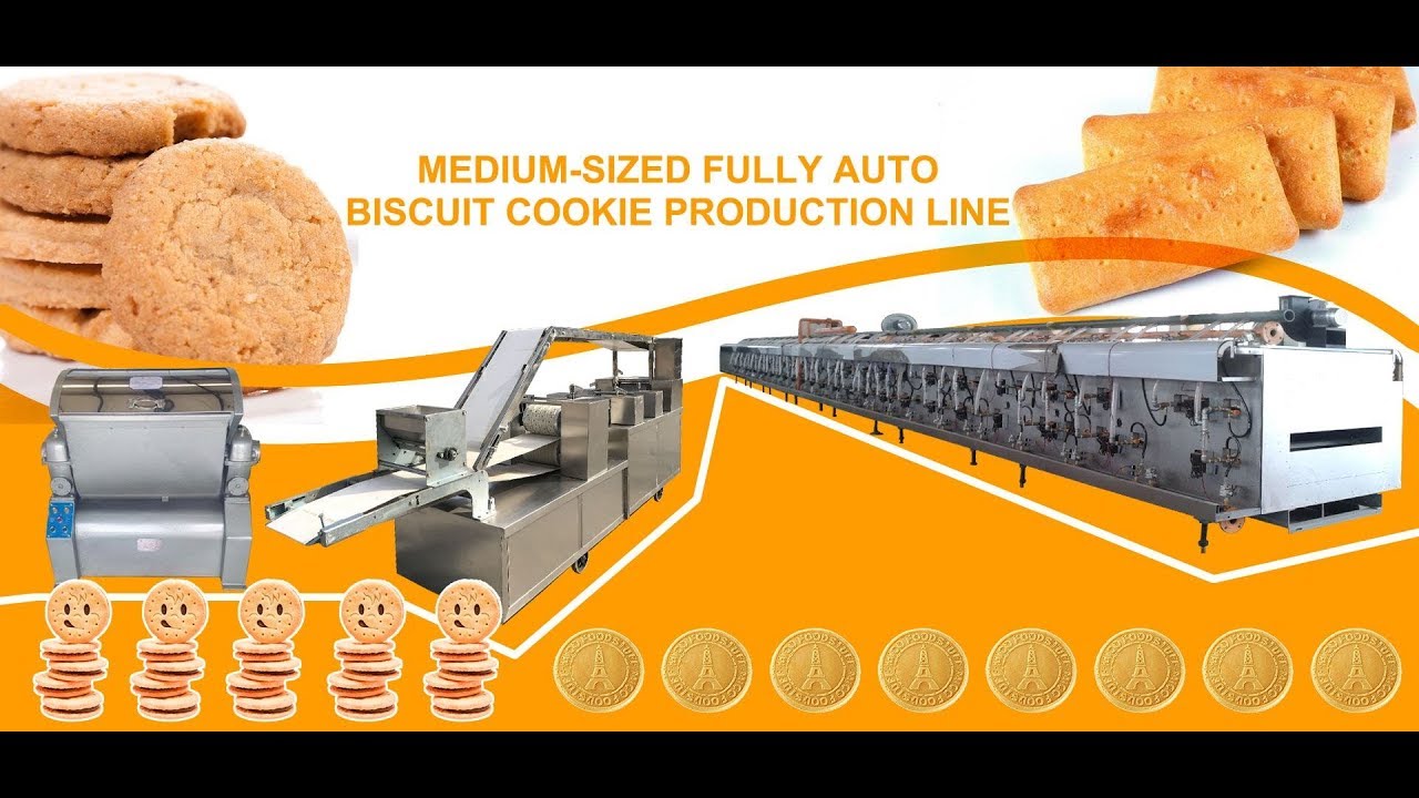 Automatic soft & hard biscuit production line manufacturer - YouTube