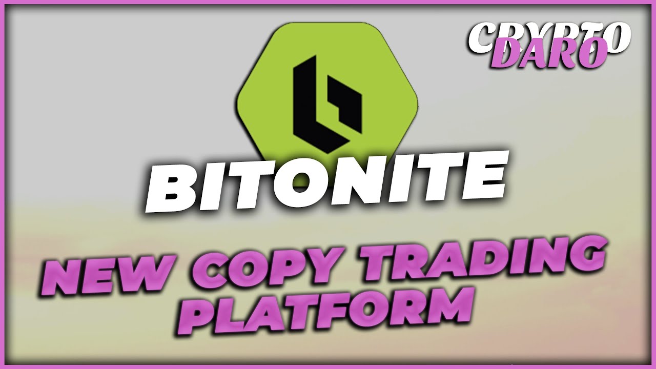 COPY TRADING MADE EASY! | Bitonite | Cryptodaro | 2023 - YouTube