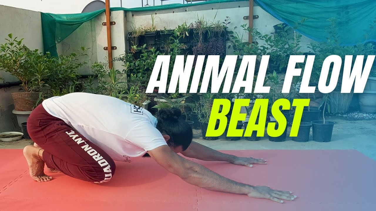 Animal Flow Beast | Beast Reach | Animal Flow for Beginners #animalflow ...