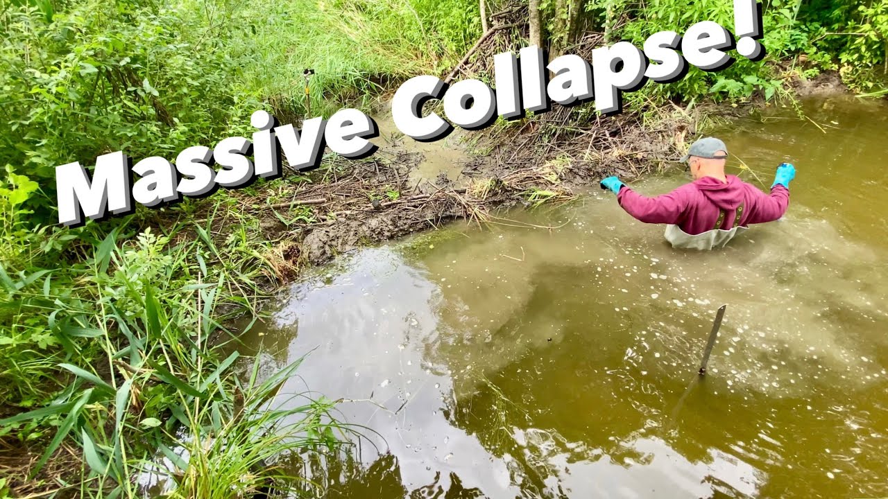 Chest Level Beaver Dam Collapse! - YouTube