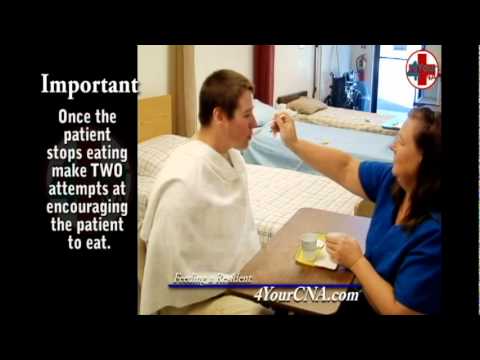 Instructional Video for Feeding A Patient in A Chair - YouTube