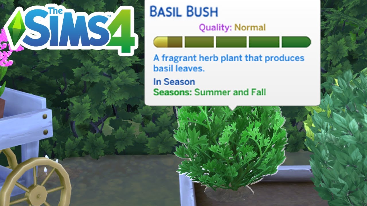 How To Find Basil Bush (Location To Get Basil) - The Sims 4 - YouTube