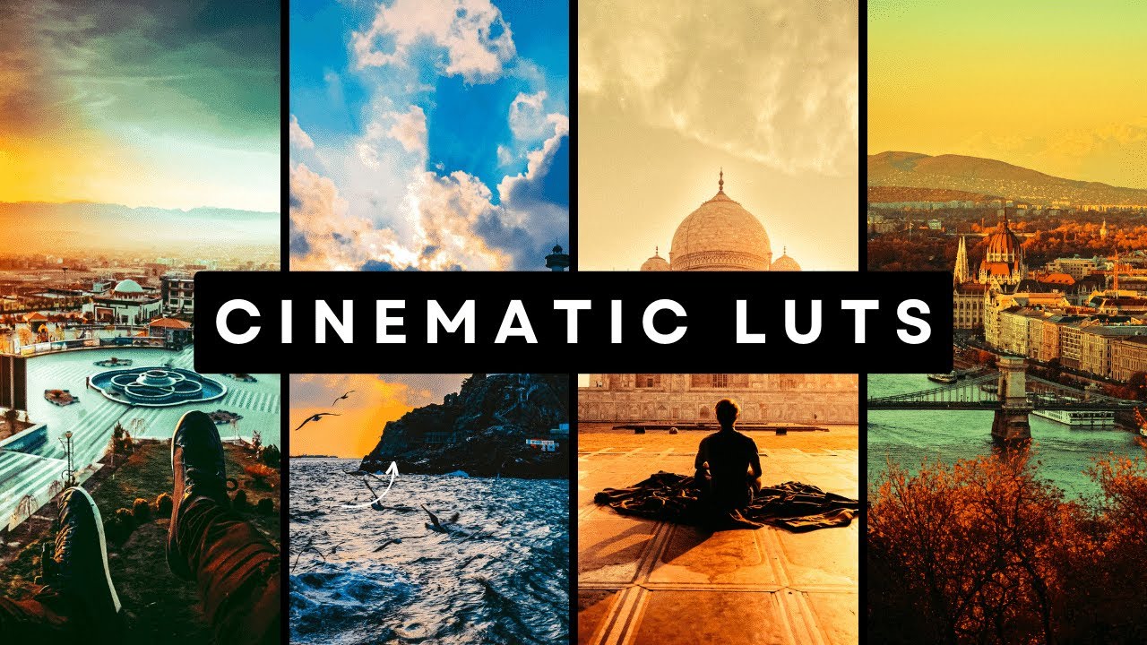 Must-Have LUTs for Professional Videographers - The Best Cinematic ...