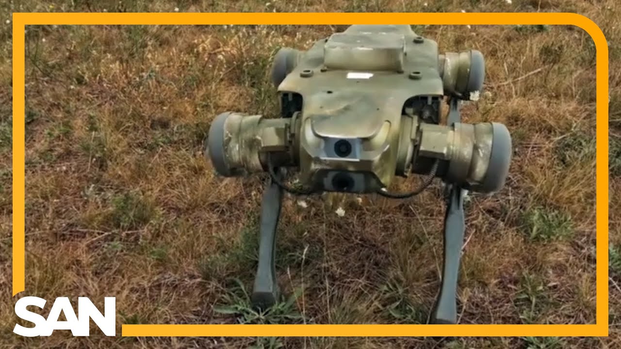 Ukraine leverages robotic dogs for reconnaissance, combat - YouTube