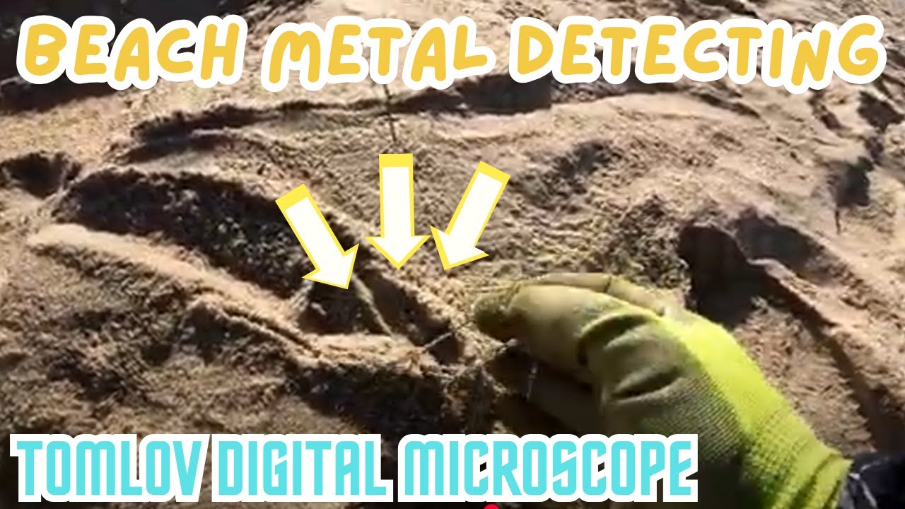 Beach Hunt with Gary & TOMLOV Digital Microscope #treasure #beach # ...