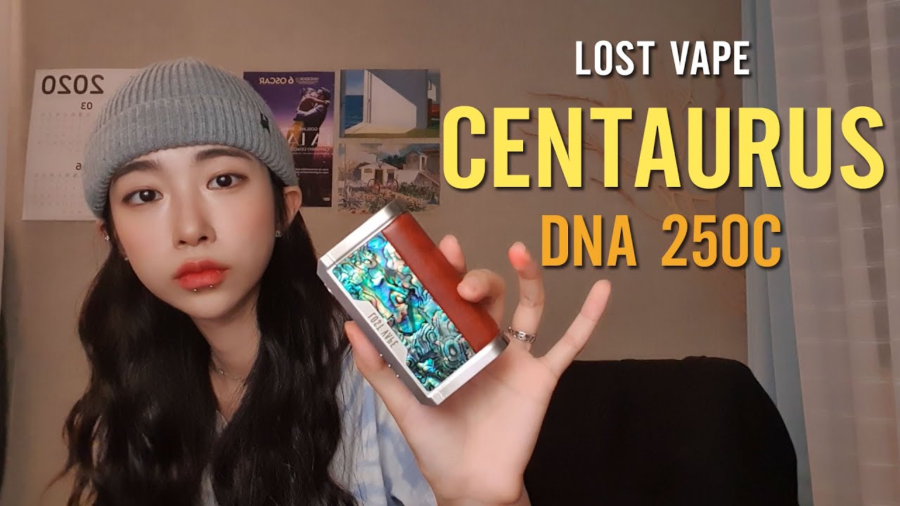 고오급 기기 장만해볼까? 보조배터리로 사용 가능한 켄타우루스 DNA 250C - YouTube