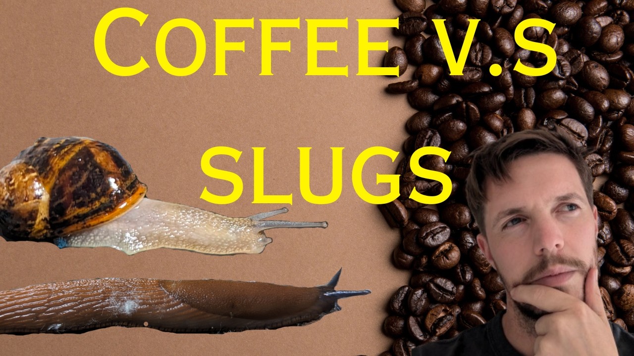 Ep 2/9 Does Coffee Deter Slugs and Snails? Can it Protect Your ...