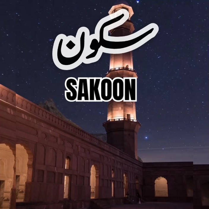 Sakoon |#quotes #allah #muhammad #rasool #quran #shorts #usoolenijaat ...