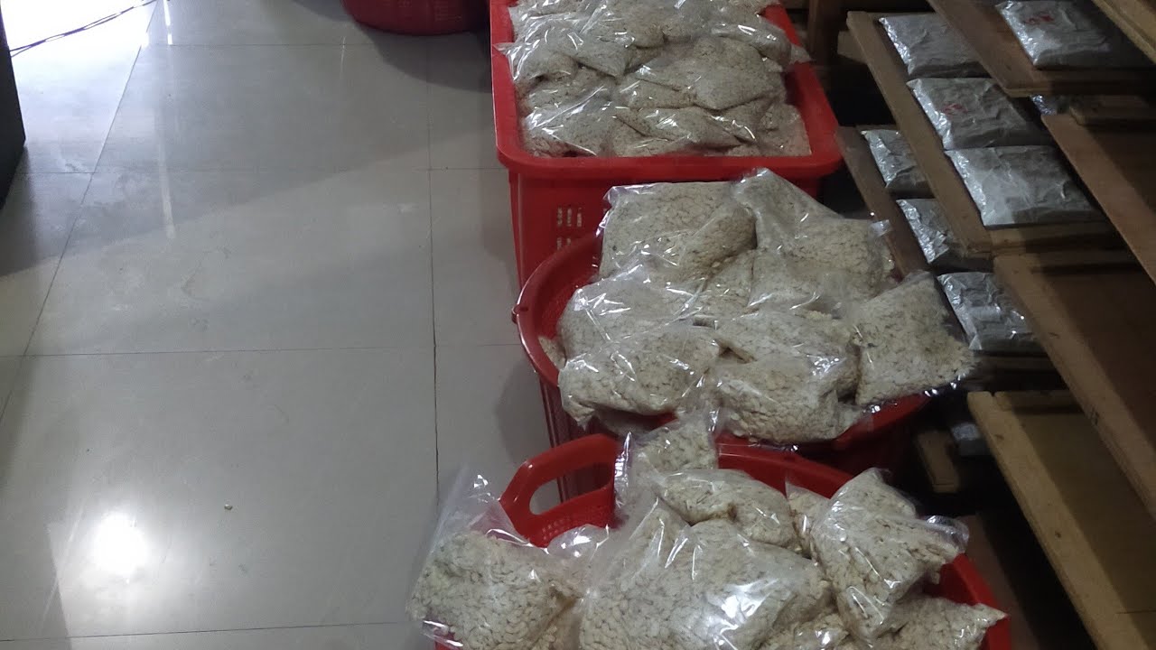 Cara Cepat Membungkus Tempe || Proses Produksi Tempe Hemat Biaya ...