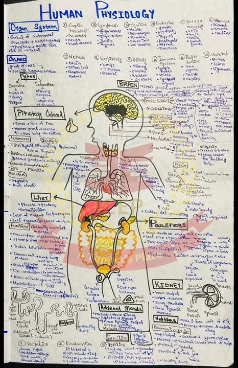 GSA HANDWRITTEN BIOLOGY NOTES FIR CSS PMS #gsa #csstoppers #gkmcqs #pms ...