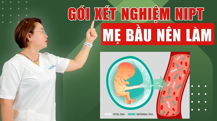 Nipt là làm gì đánh giá được chỉ số gì năm 2024