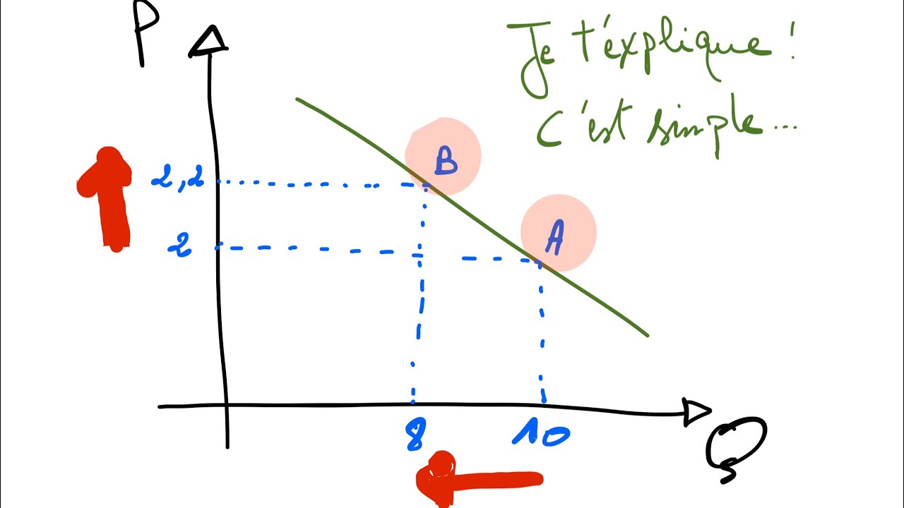 Elasticité prix de la demande - YouTube