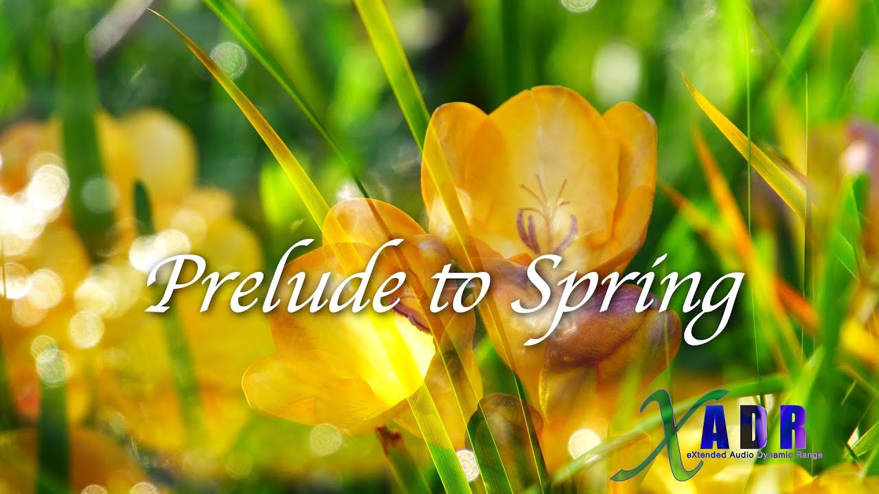 PRELUDE TO SPRING - YouTube