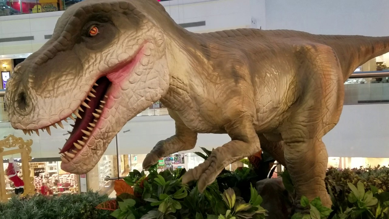 #ScienceTheEarth Awkward Dinosaurs in India Part 2 - YouTube