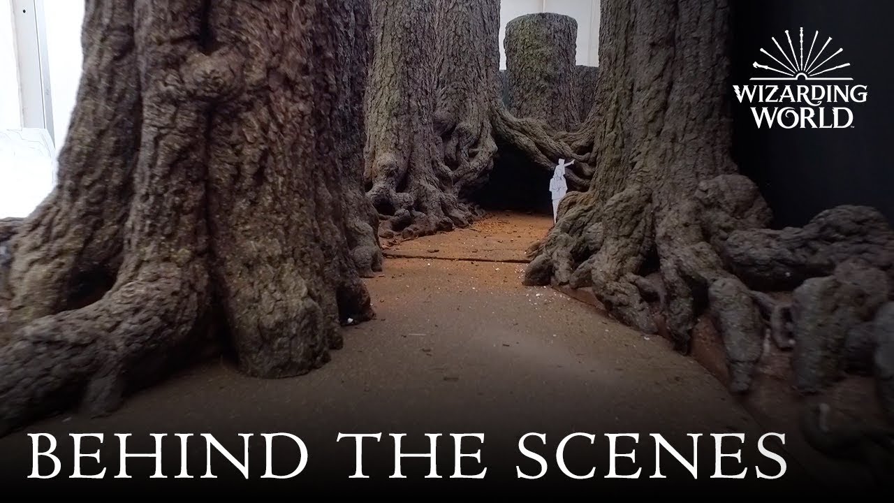 Behind the scenes of the Forbidden Forest at Warner Bros. Studio Tour ...