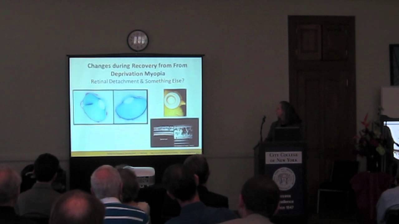 Josh Wallman Memorial, Speaker 5-Christine Wildsoet (Part 1 of 2) - YouTube
